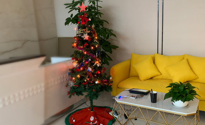 How To Series: Make Your Own Raspberry Pi Christmas Lights Controller ...